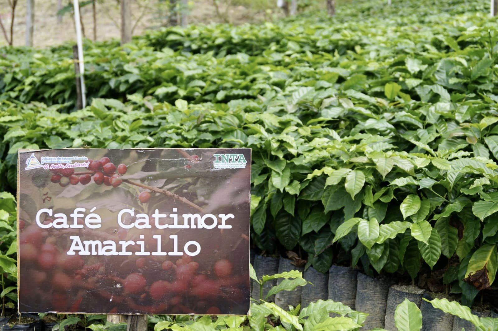 CENTRO DE DESARROLLO DE TECNOLOGÍAS AGROPECUARIAS GENERAL RAMÓN ...